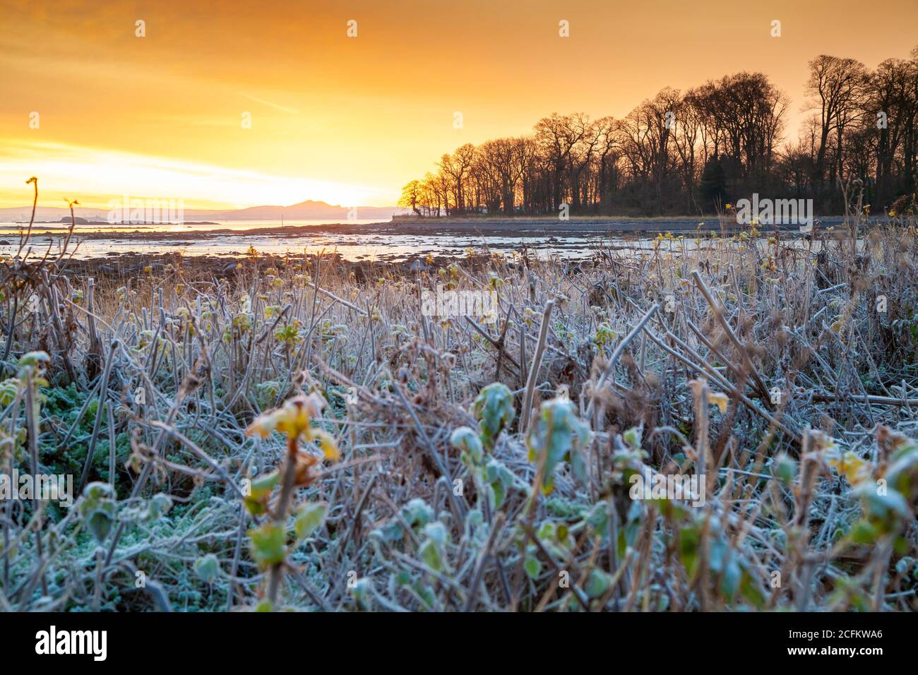 A frosty sunrise along the Fife Coastal Path in Dalgety Bay, Fife ...