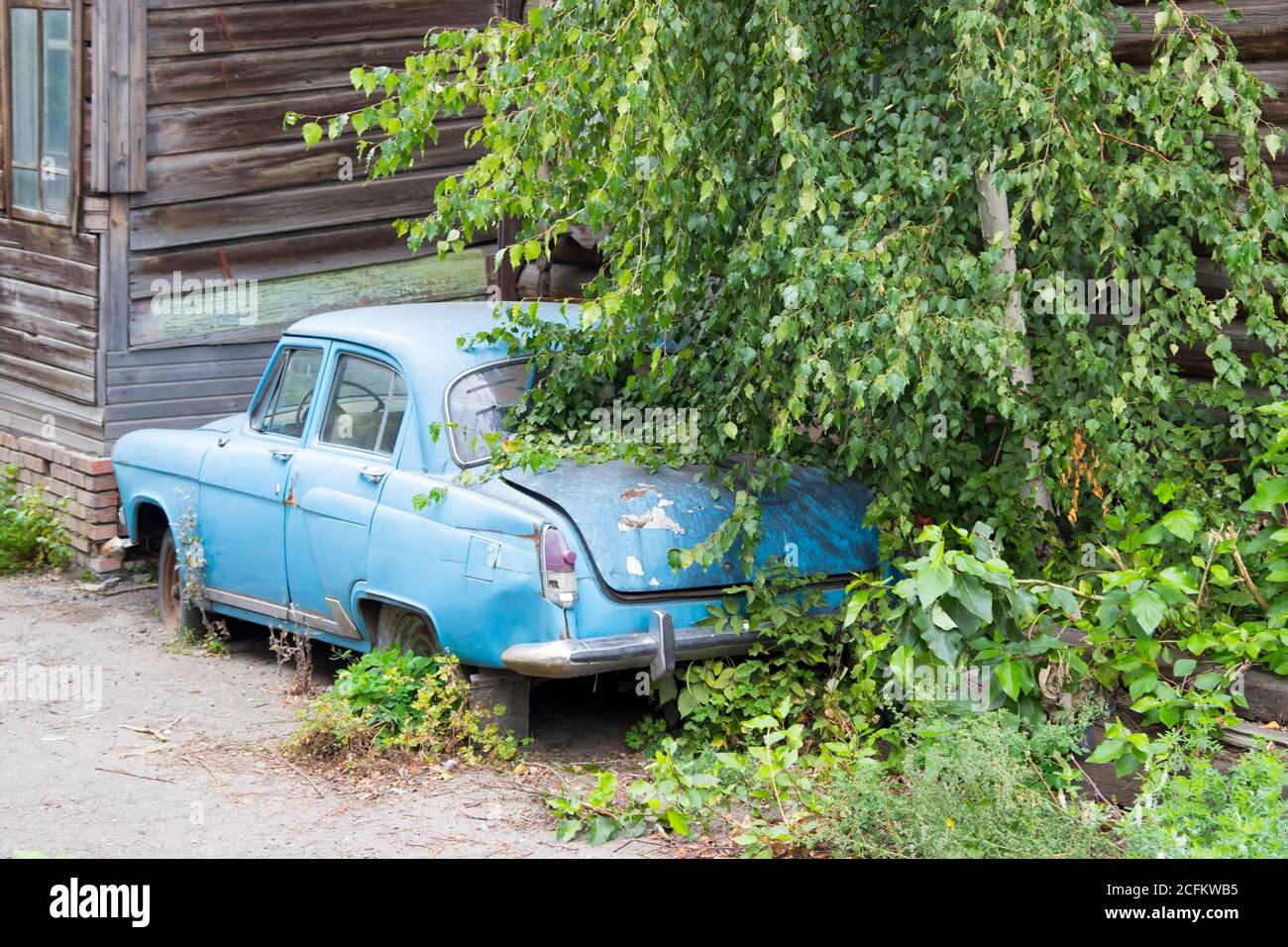 An old abandoned vintage car in the bushes, in the courtyard of an old ...