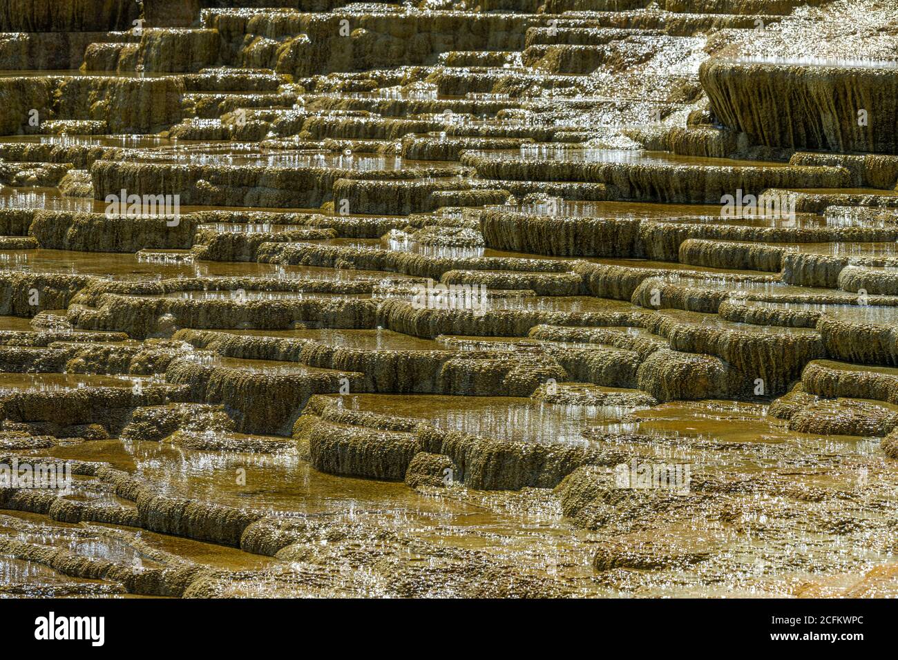 Mound Spring in the Mammoth Hot Springs Area, Yellowstone National Park ...