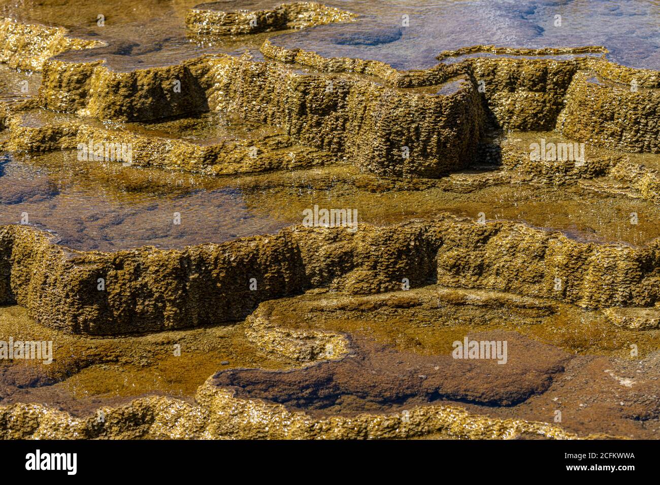 Mound Spring in the Mammoth Hot Springs Area, Yellowstone National Park ...