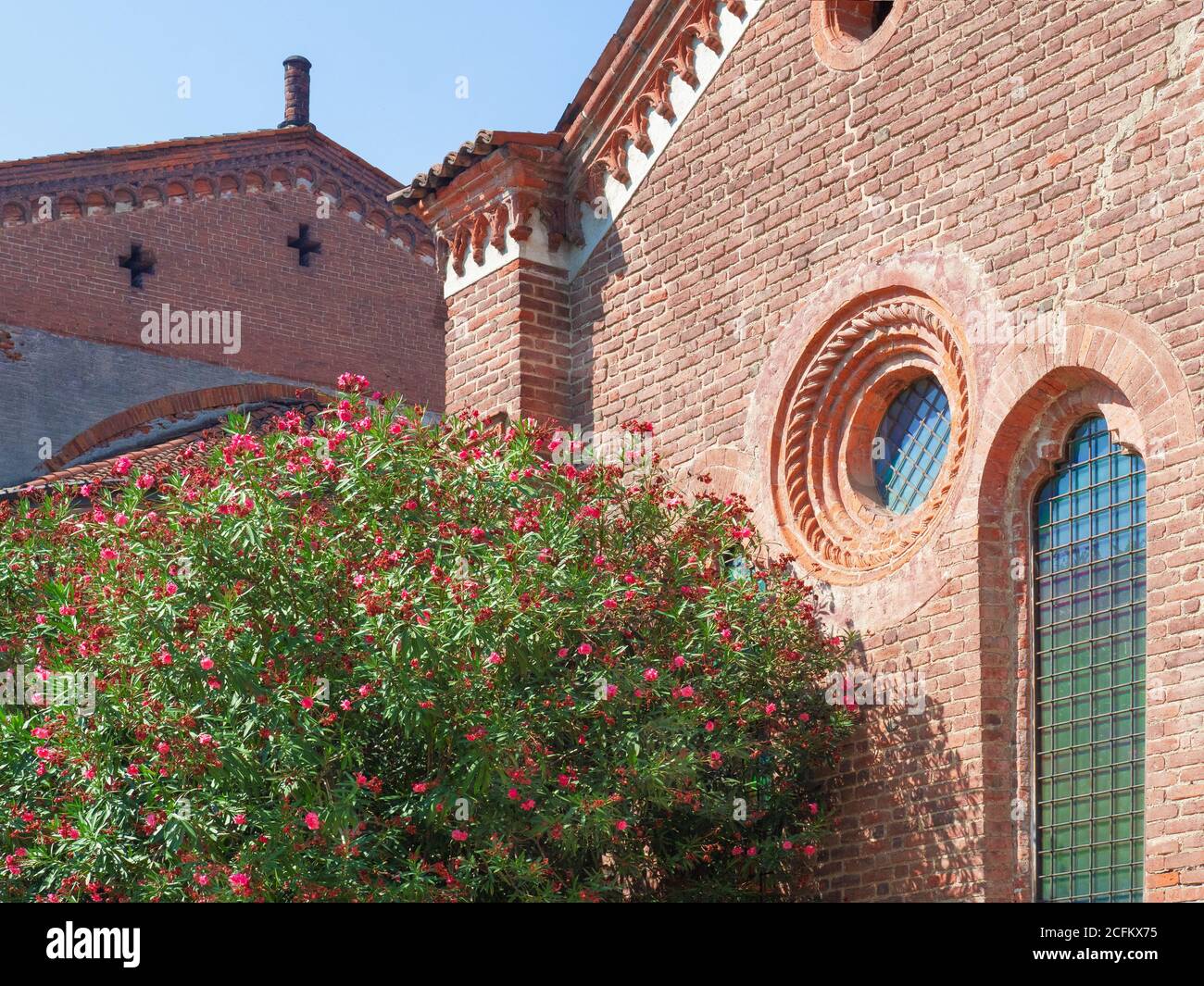 stunning flowering bush hides the facade of the ancient brick church ...