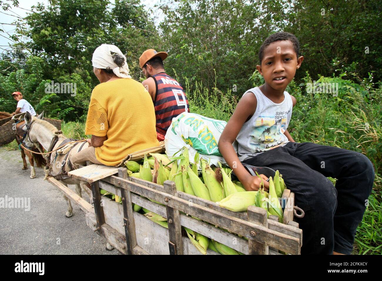 Labor infantil hi-res stock photography and images - Alamy