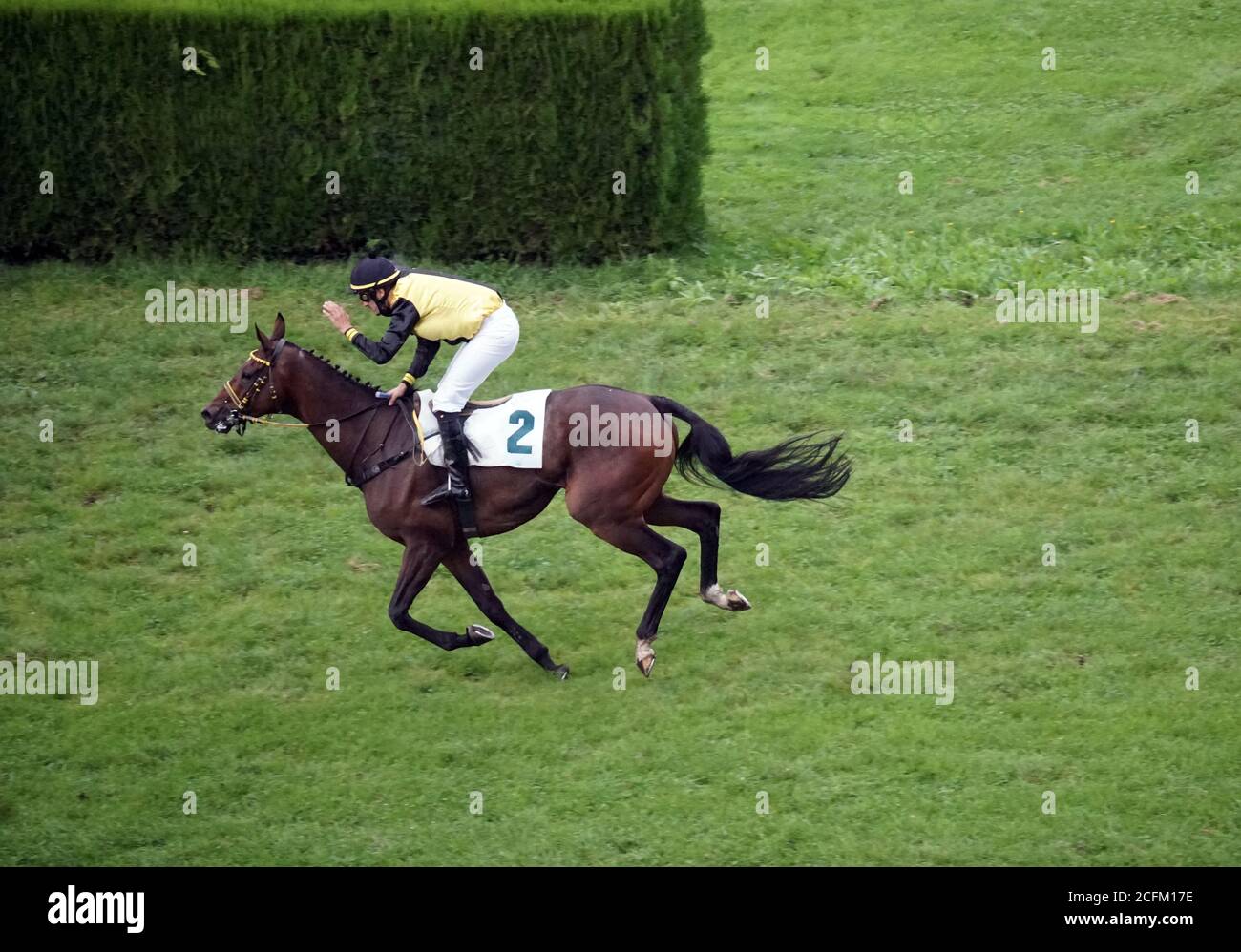 Merano racecourse hi-res stock photography and images - Alamy