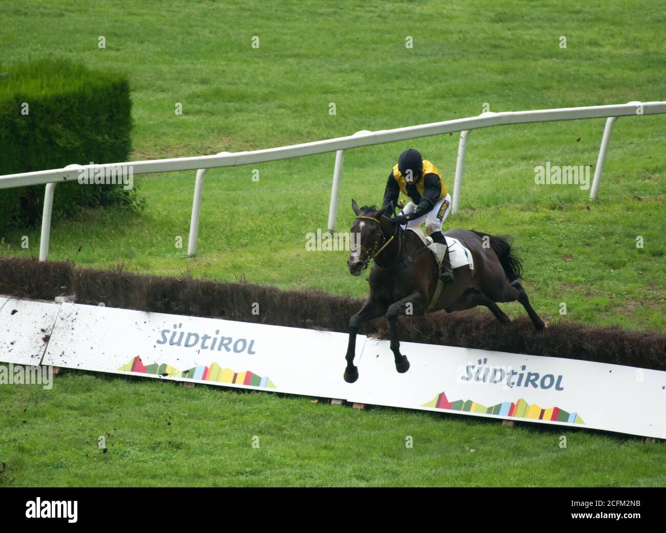 Champion hurdle hi-res stock photography and images - Alamy