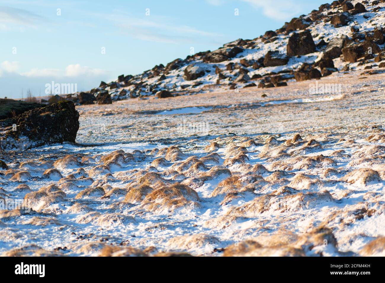 A field of frozen lava overgrown with moss at the foot of a mountain in ...
