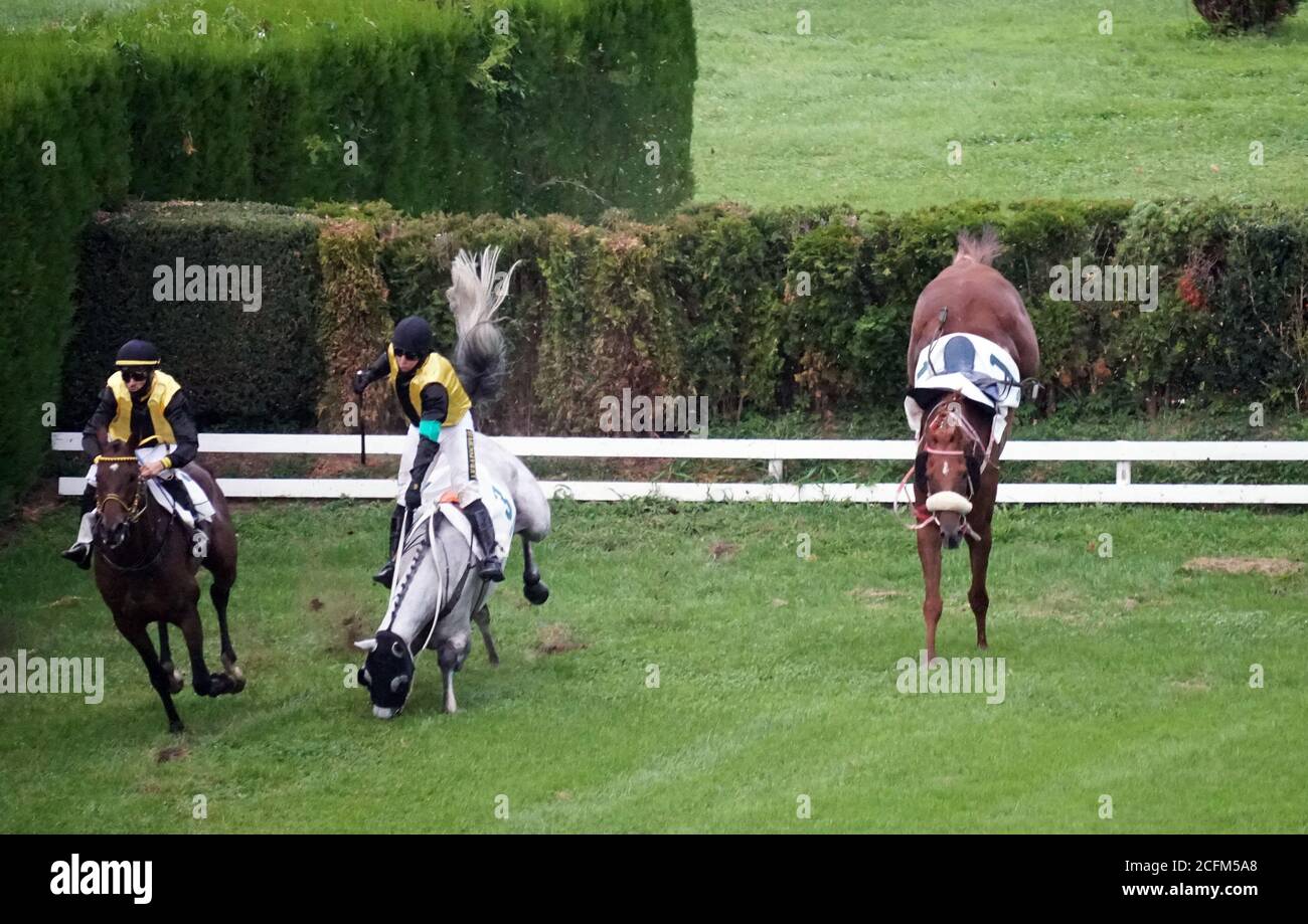 A jockey falling from a horse at the race while others running further ...