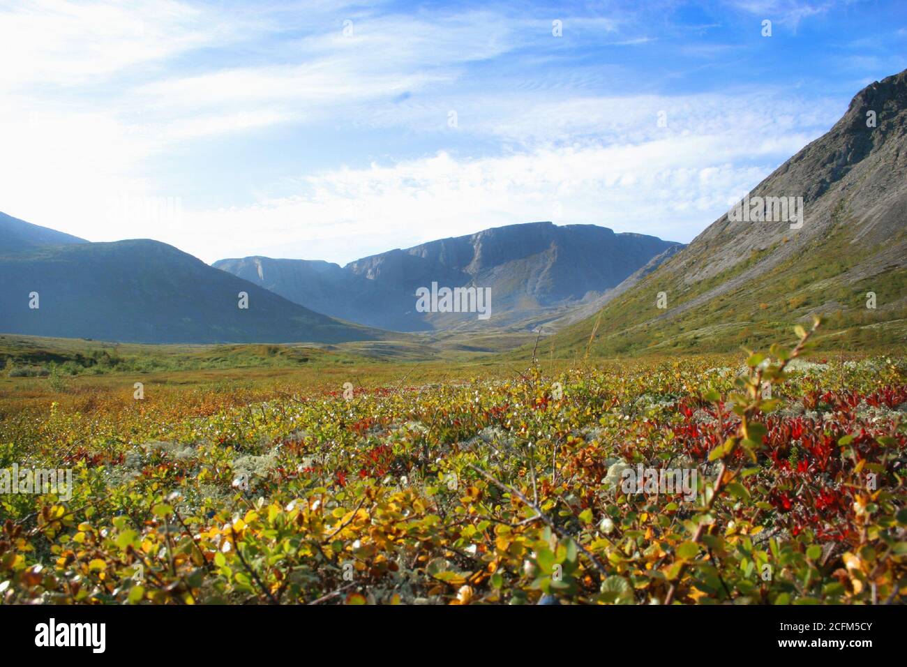 Mountain tundra, Hibiny mountains above the Arctic circle, Kola ...