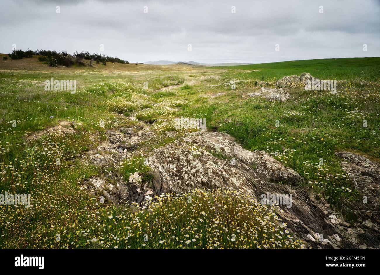 Plain fields at Alentejo, in a rainy day, with a rock on the foreground ...