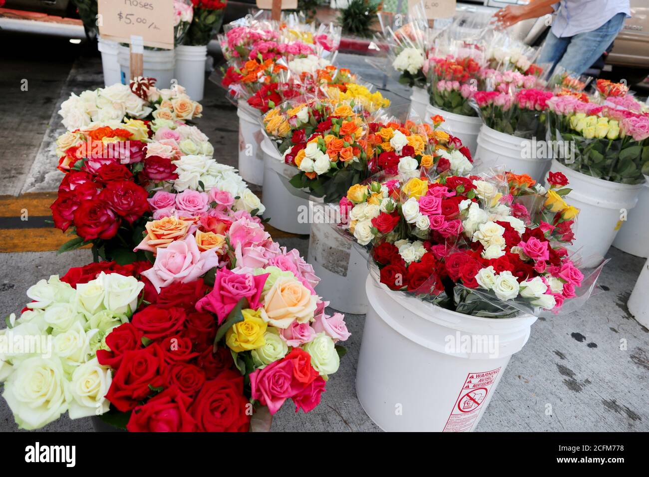 Red white yellow pink orange roses hi-res stock photography and images ...