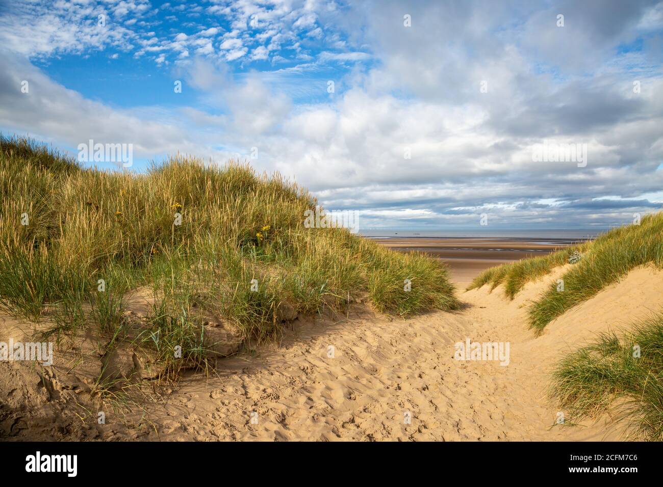 A pathway through sand dunes leading to the beach, at Formby in ...