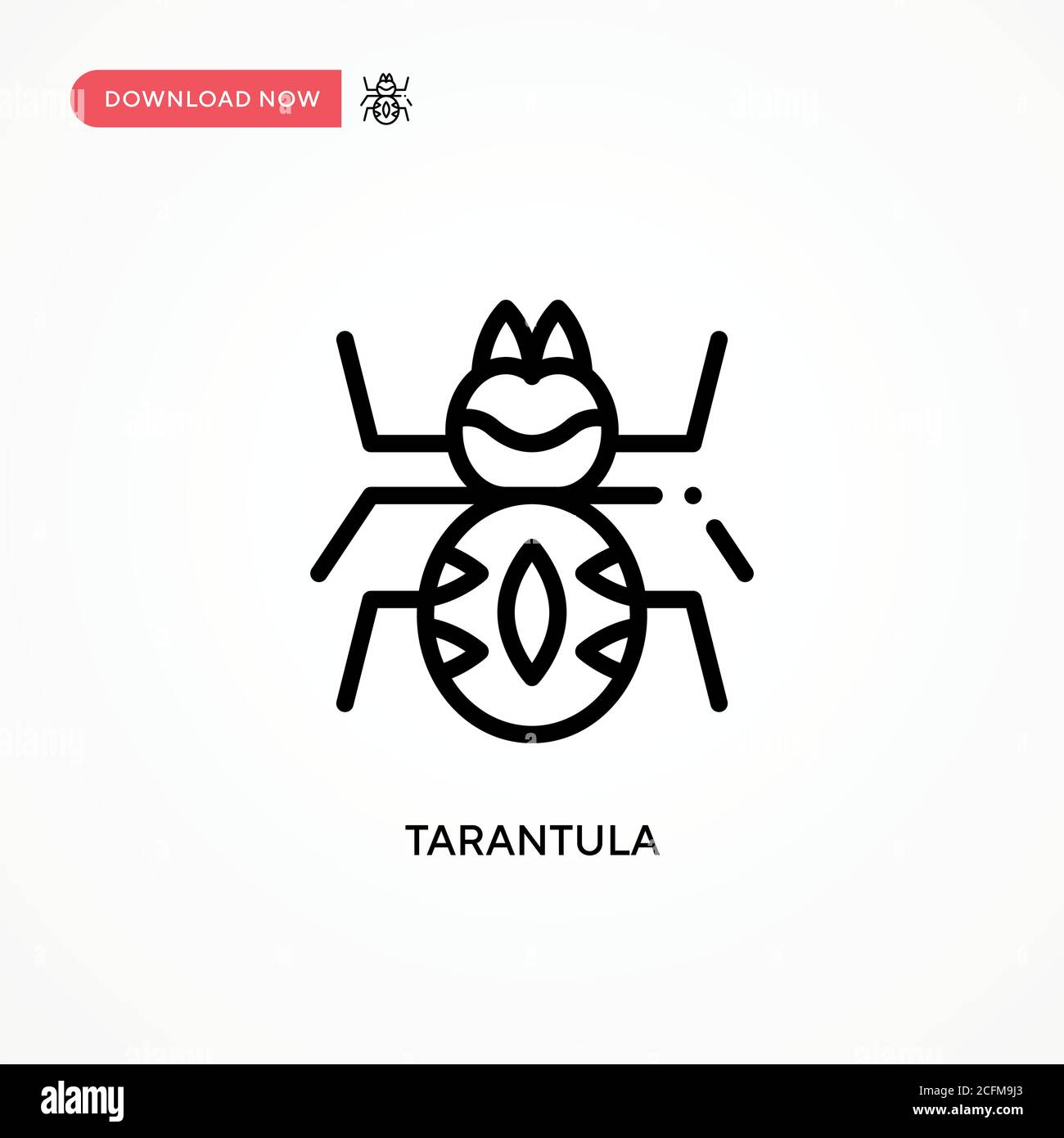 Tarantula vector icon. Modern, simple flat vector illustration for web site or mobile app Stock ...