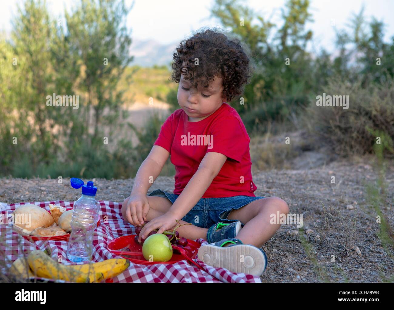 Picnic boy in the bush at sunset sitting on checkered tablecloth with ...
