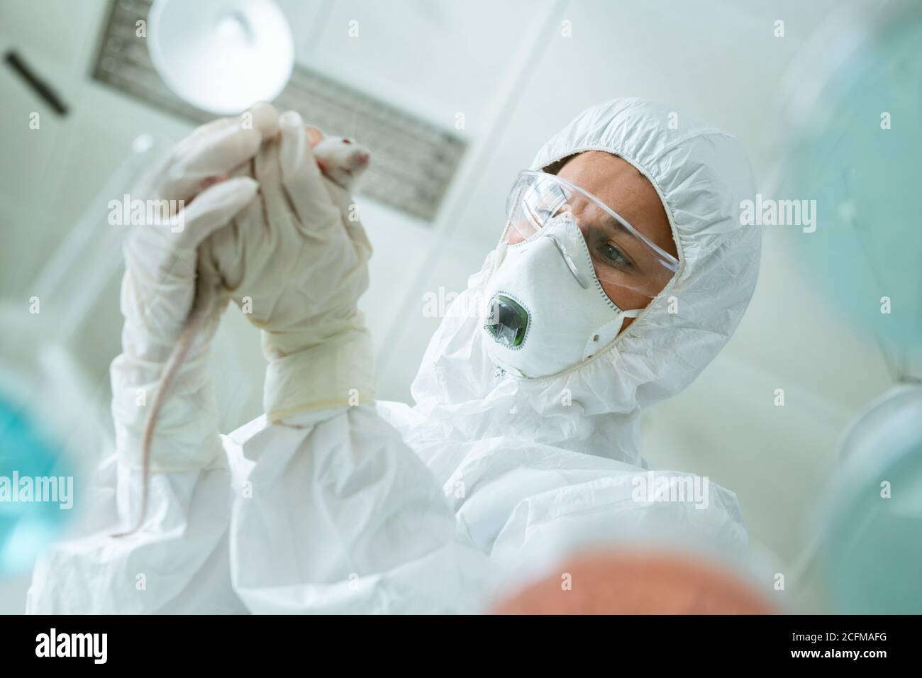 Mouse mask hi-res stock photography and images - Alamy
