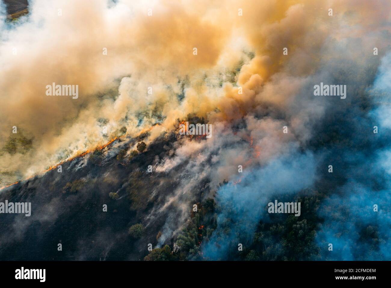 Wildfire aerial view. Fire and smoke. Burning forest. Natural disaster ...
