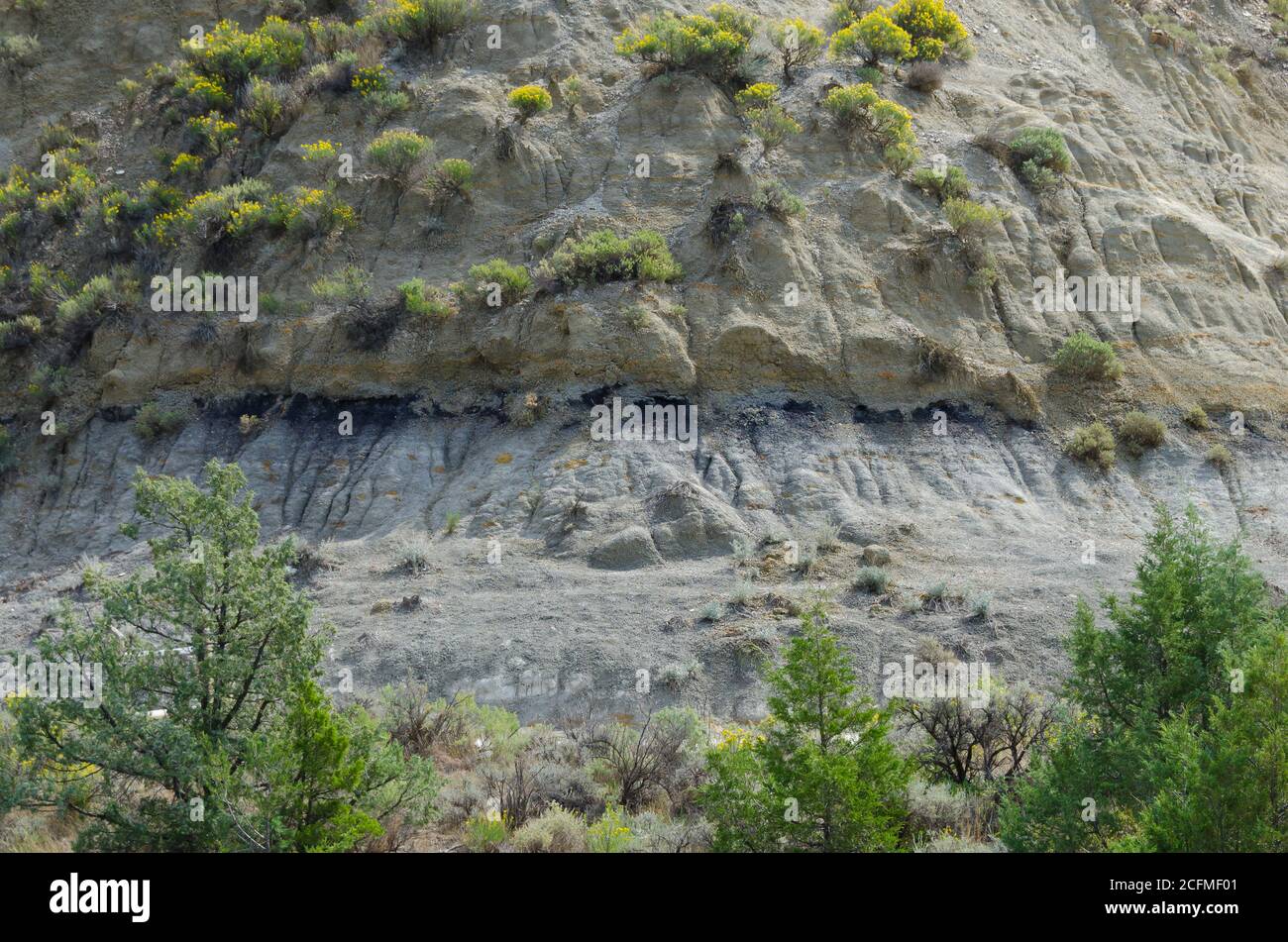Coal layer hi-res stock photography and images - Alamy