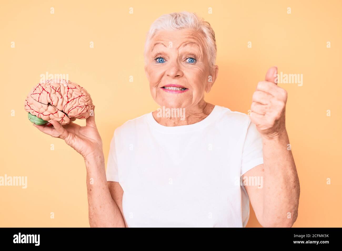 Senior beautiful woman with blue eyes and grey hair holding brain as ...