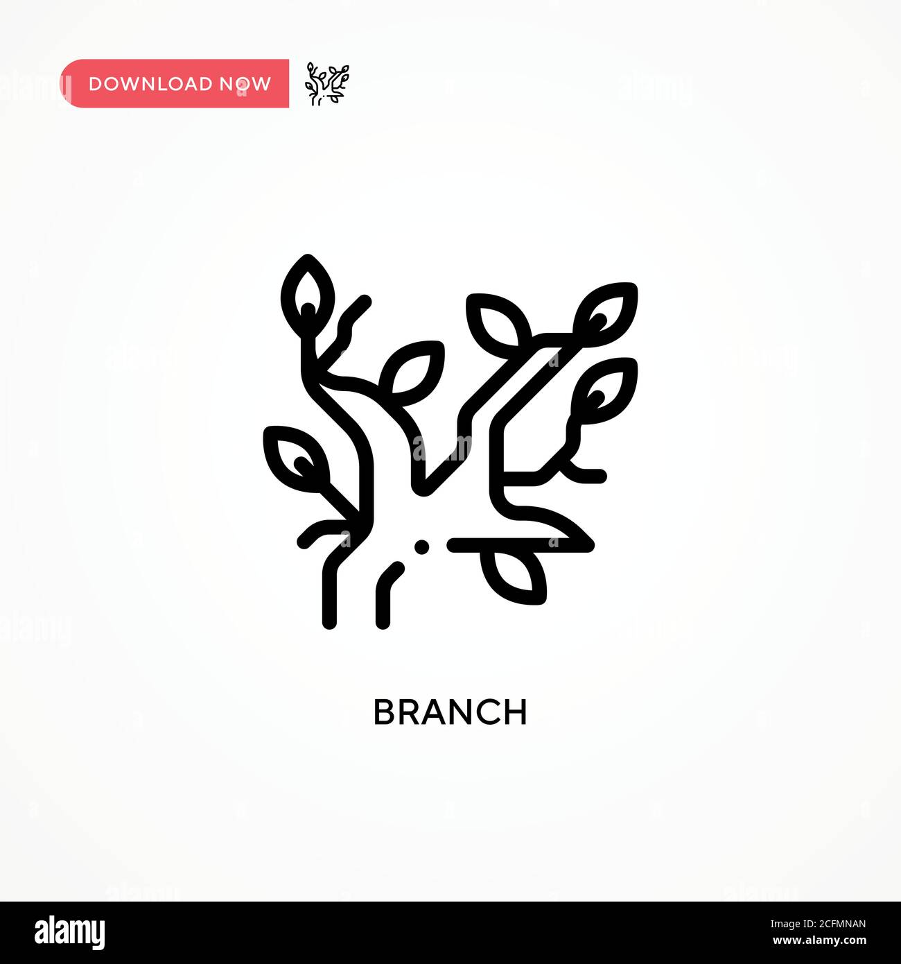 Olive wood twig Stock Vector Images - Alamy