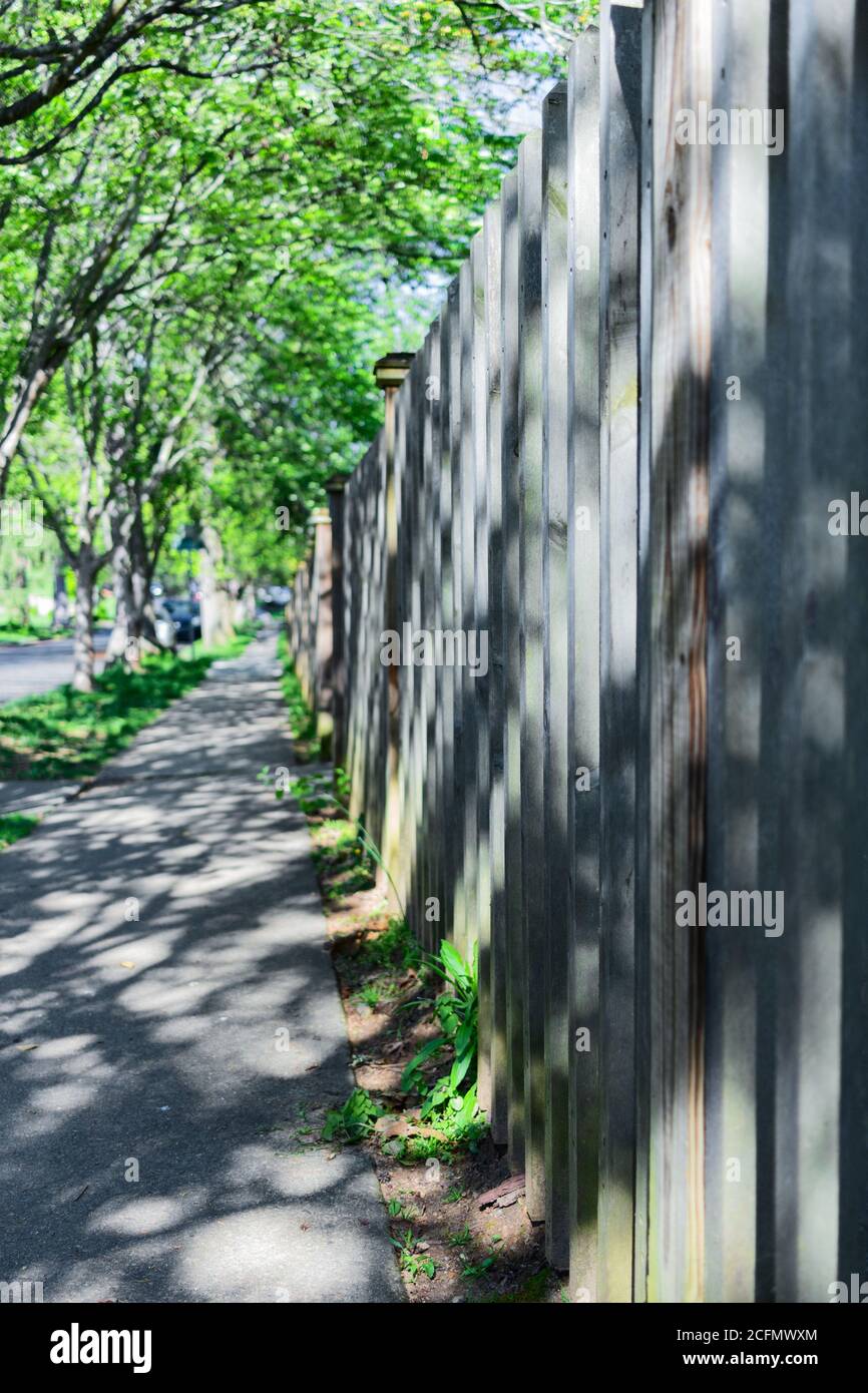 Shadows dapple a sidewalk and wooden fence on a tree-lined street in a ...