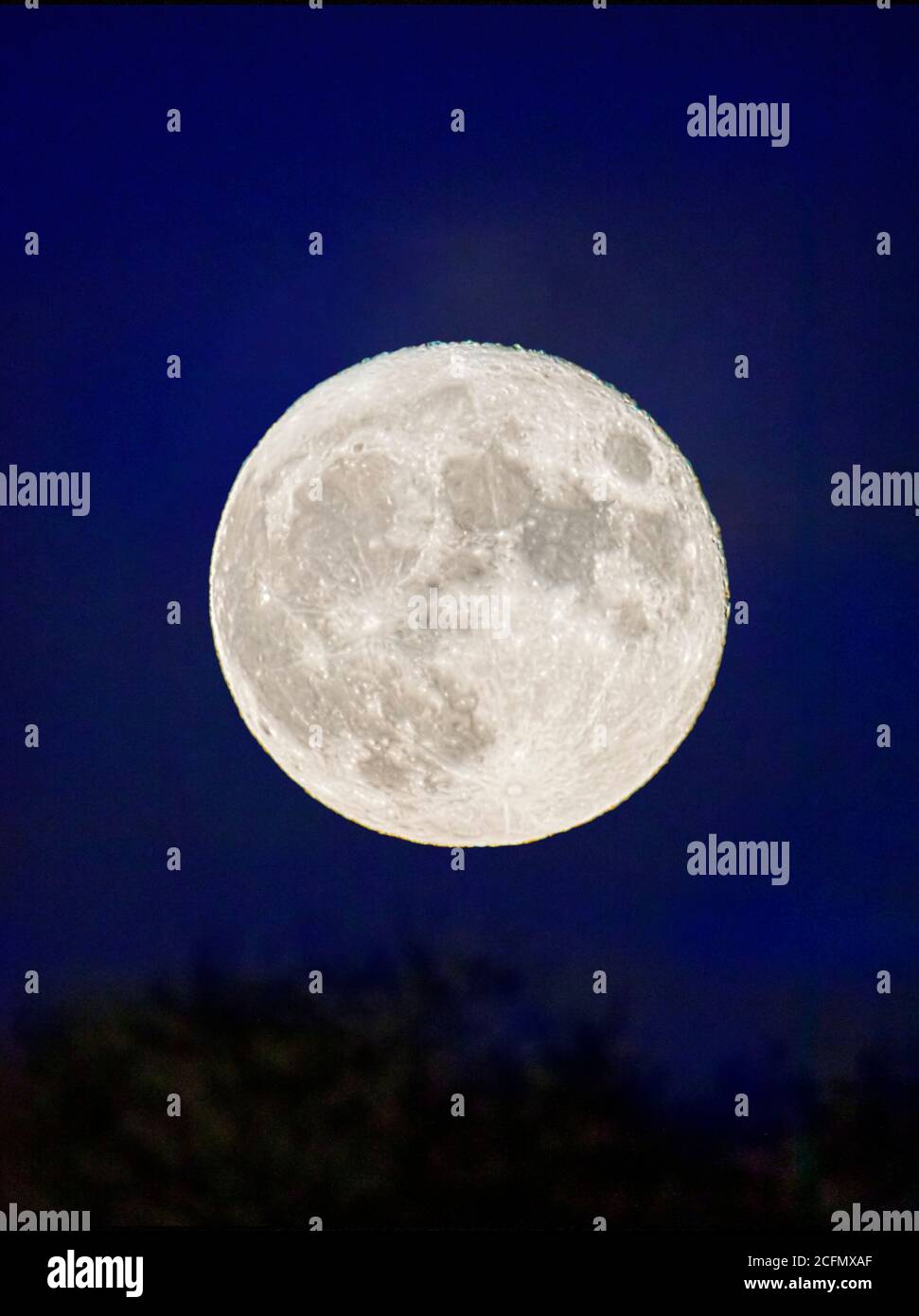 Full corn moon hi-res stock photography and images - Alamy