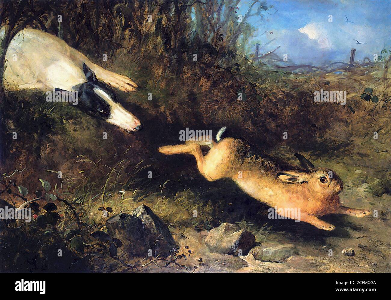 Woodward Thomas - a Greyhound in Pursuit of a Hare - British School ...