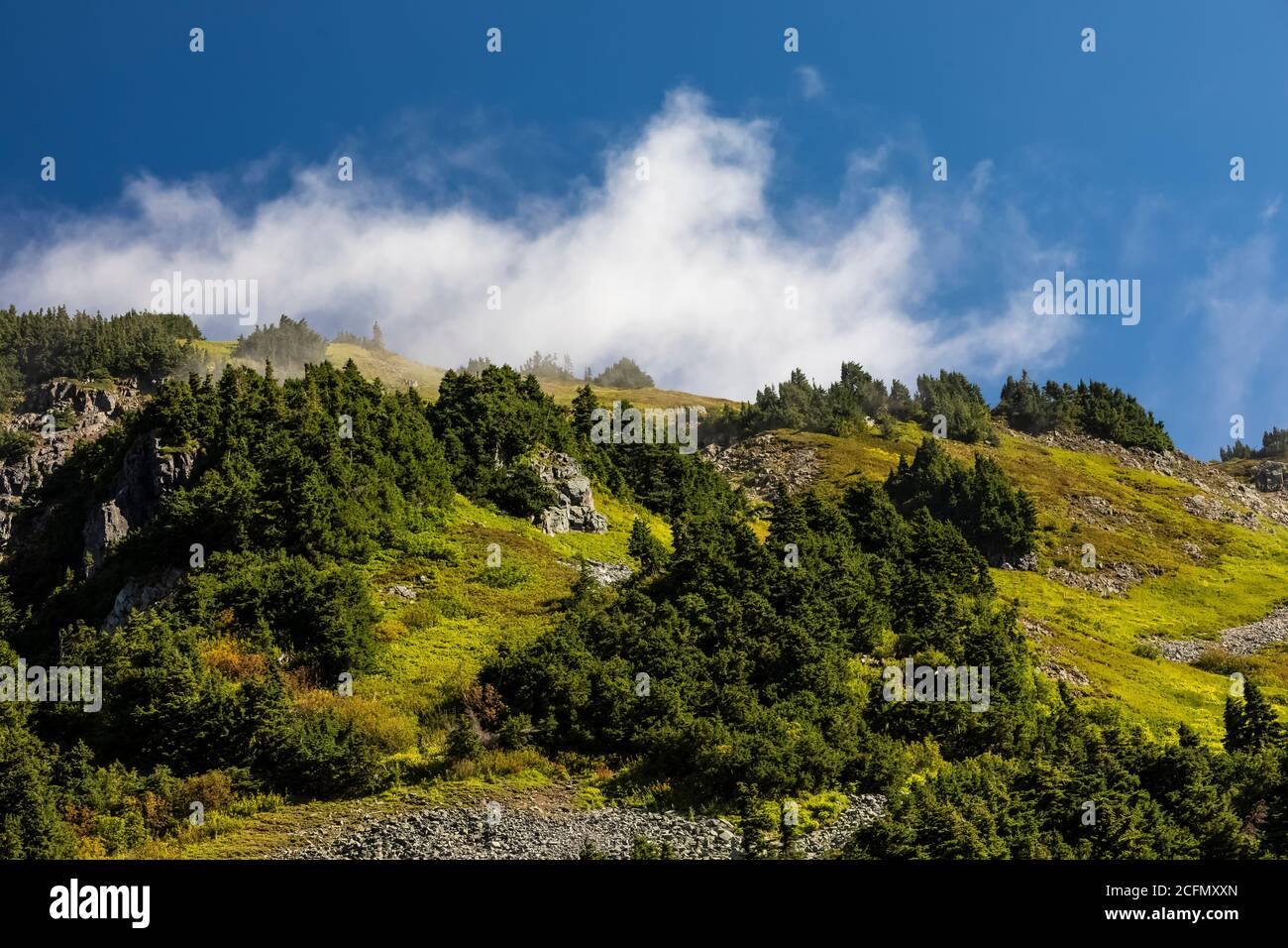 Beginning of the trail to Sahale Arm, viewed from Cascade Pass, North ...