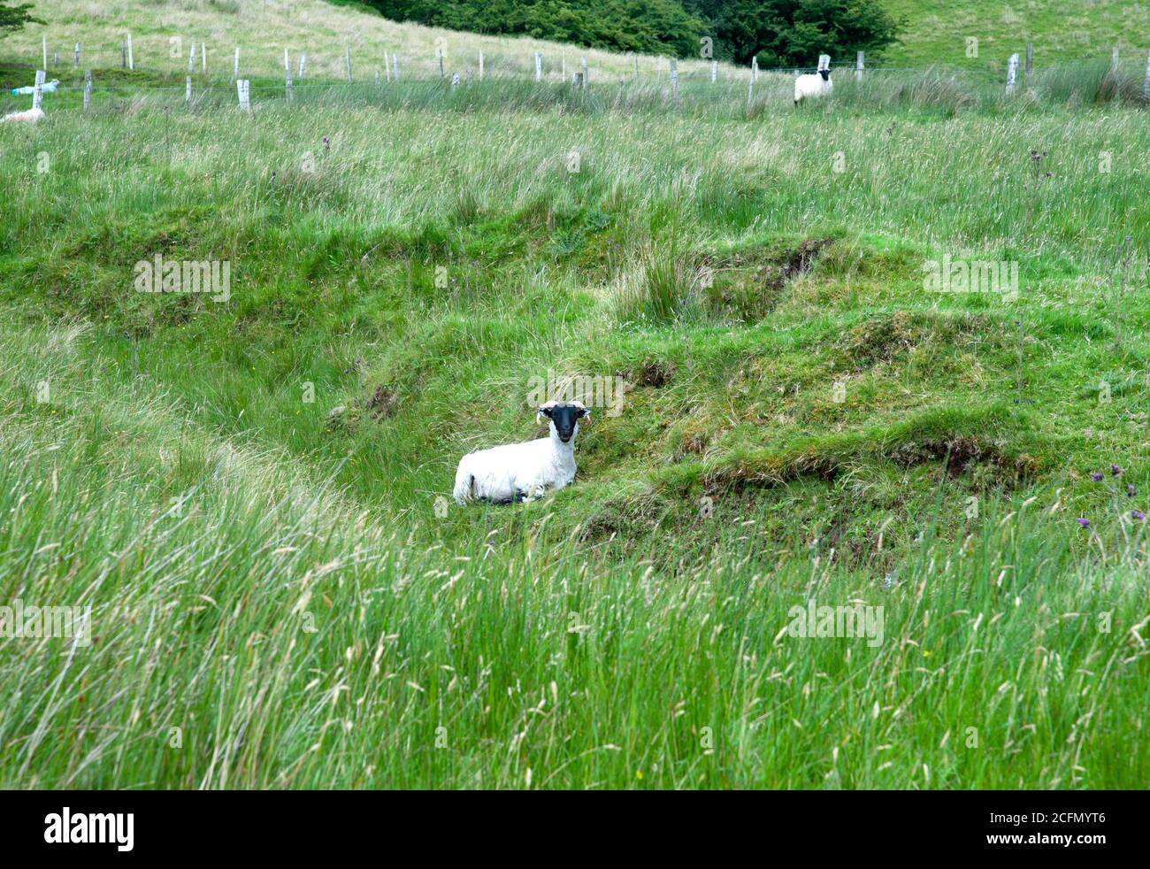 Glenade valley hi-res stock photography and images - Alamy