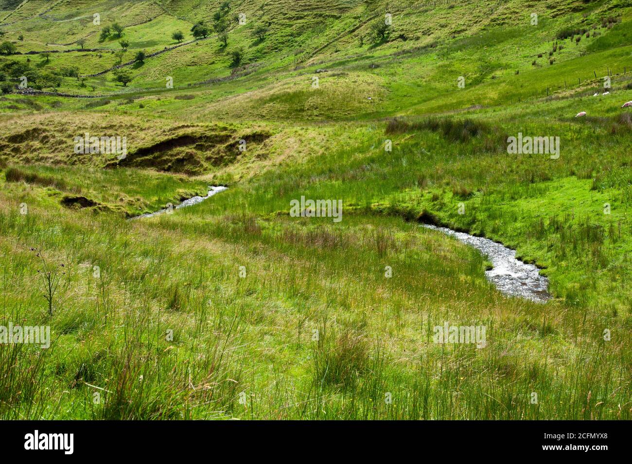Duff river, Spring water in Co Leitrim, Ireland Stock Photo - Alamy