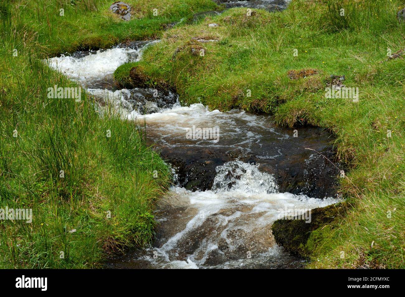 Duff river, Spring water in Co Leitrim, Ireland Stock Photo - Alamy