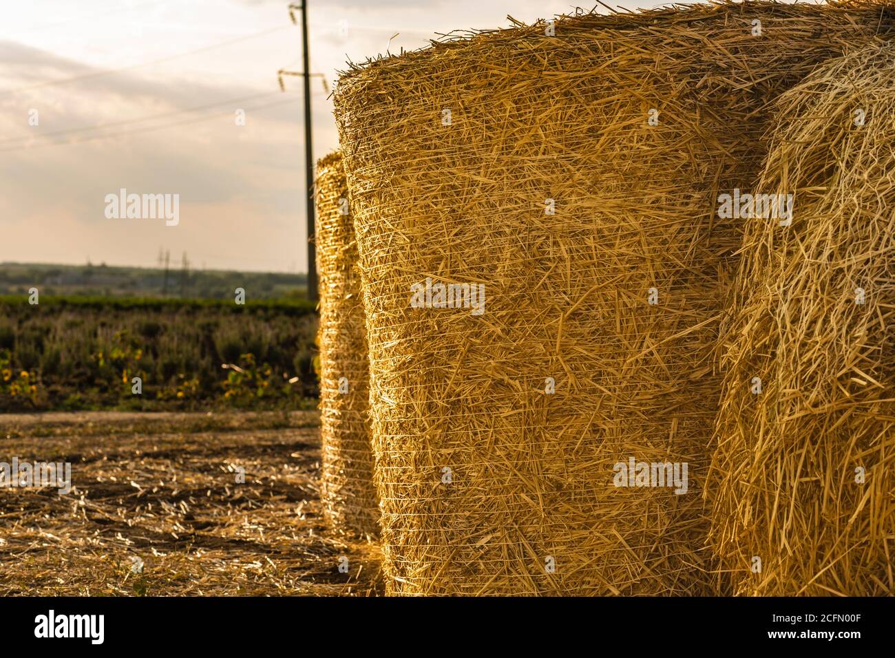 Rolls of haystacks on the field hi-res stock photography and images - Alamy