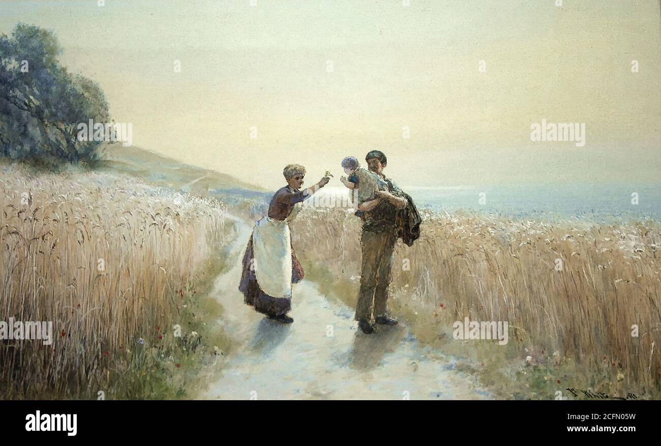 White John - Flowers of the Field Branscombe East Devon - British ...