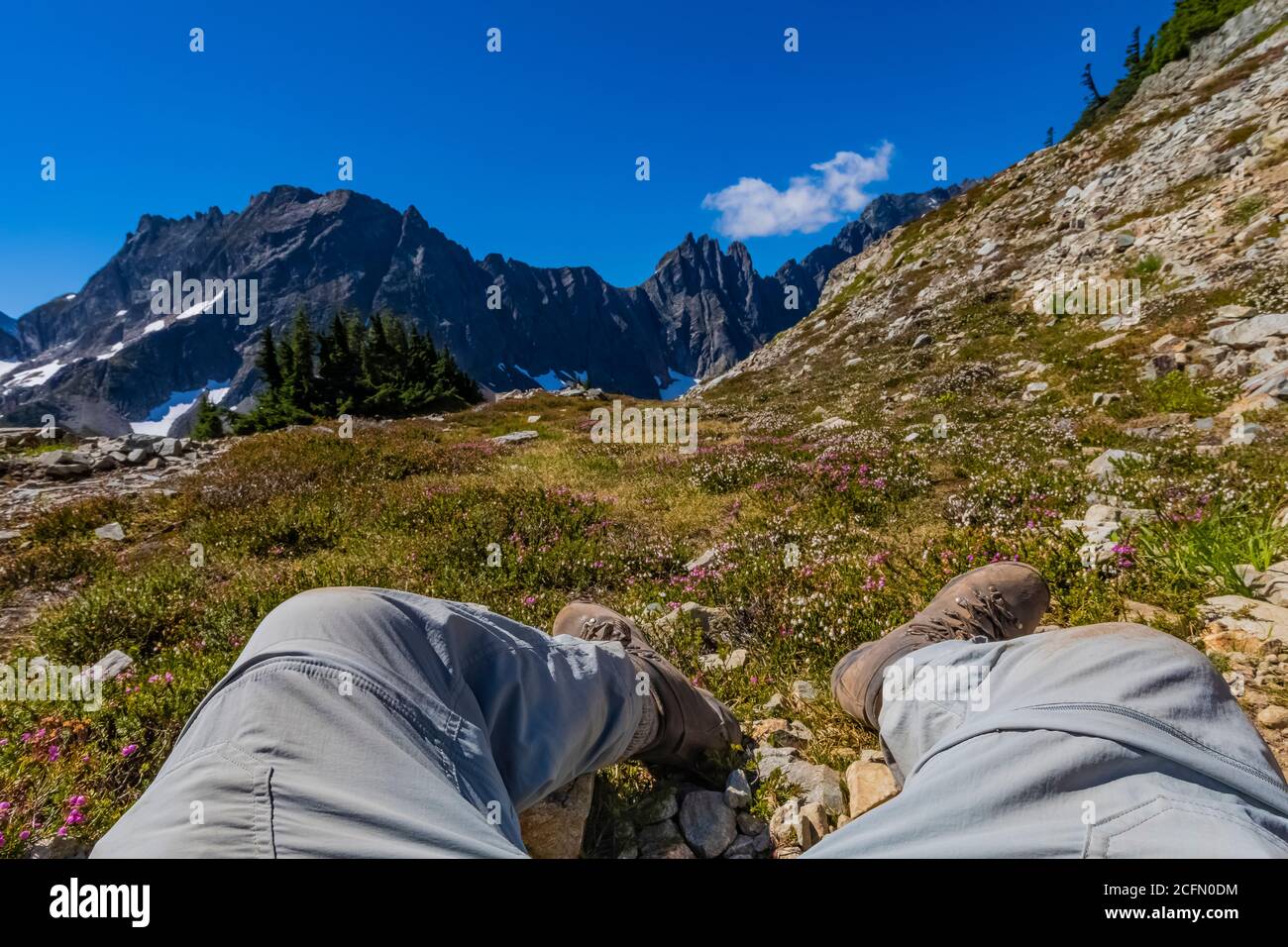 Triplets hi-res stock photography and images - Alamy