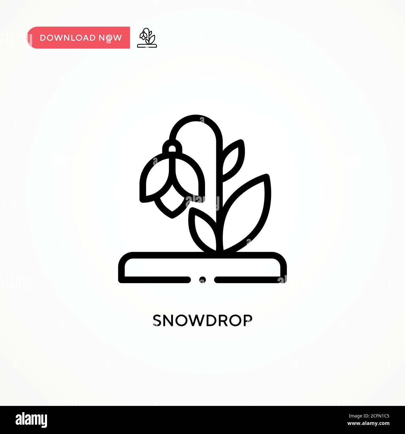 Galanthus vector vectors hi-res stock photography and images - Alamy