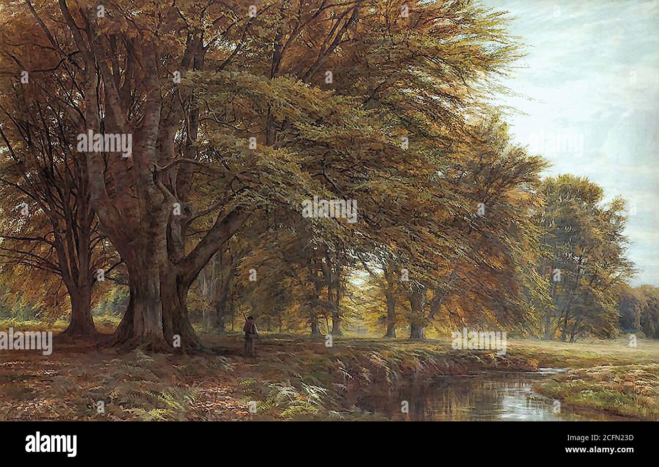 Warren Edmund George - the Beech Wood - British School - 19th Century ...