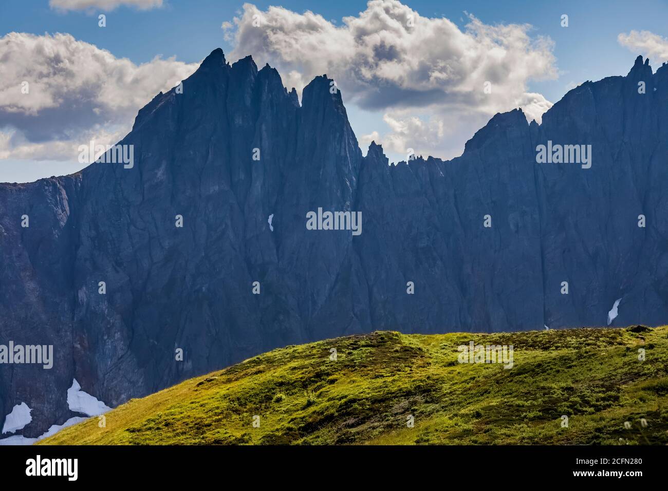 Subalpine meadow along Sahale Arm Trail with the shadowed cliffs of The ...