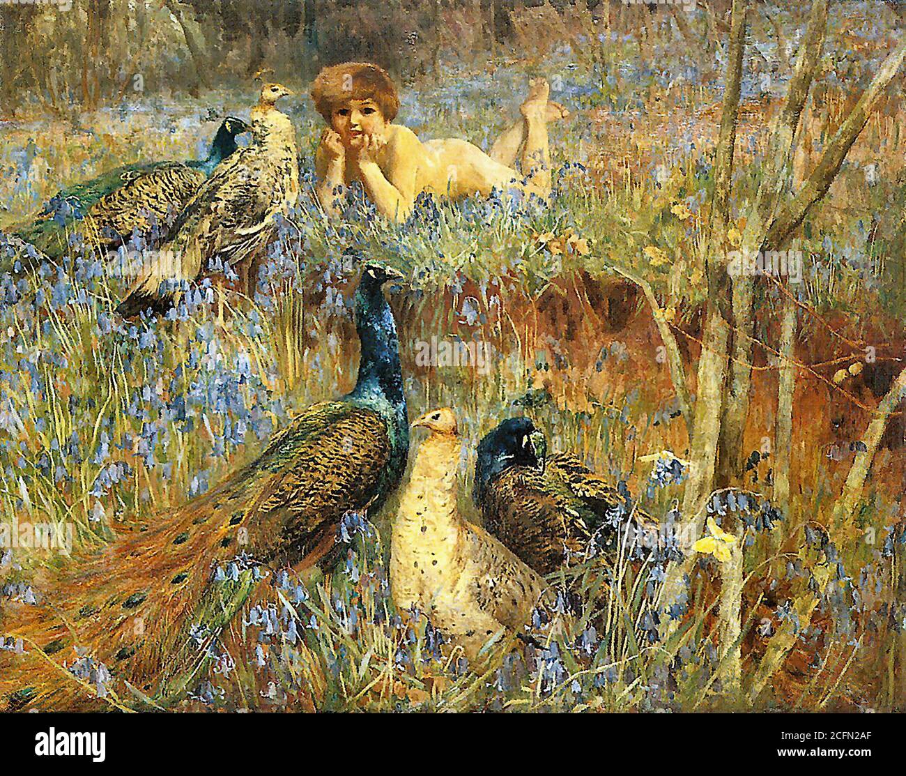 Wardle Arthur - Bluebells and Peacocks (a Spring Idyll) - British ...