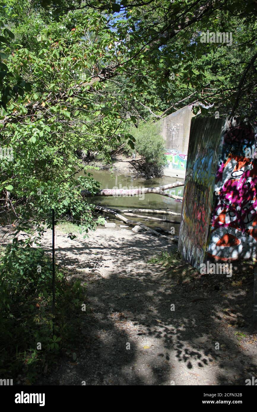 A small path in the overgrown sunny summer meadow Stock Photo - Alamy