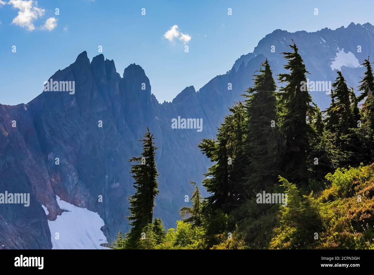 Subalpine meadow along Sahale Arm Trail, North Cascades National Park ...
