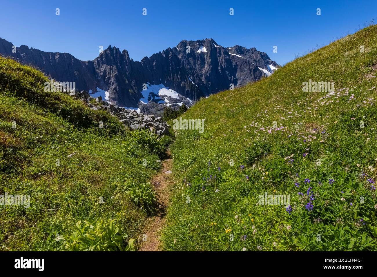 Side trail to a viewpoint from the Sahale Arm Trail, with Johannesburg ...
