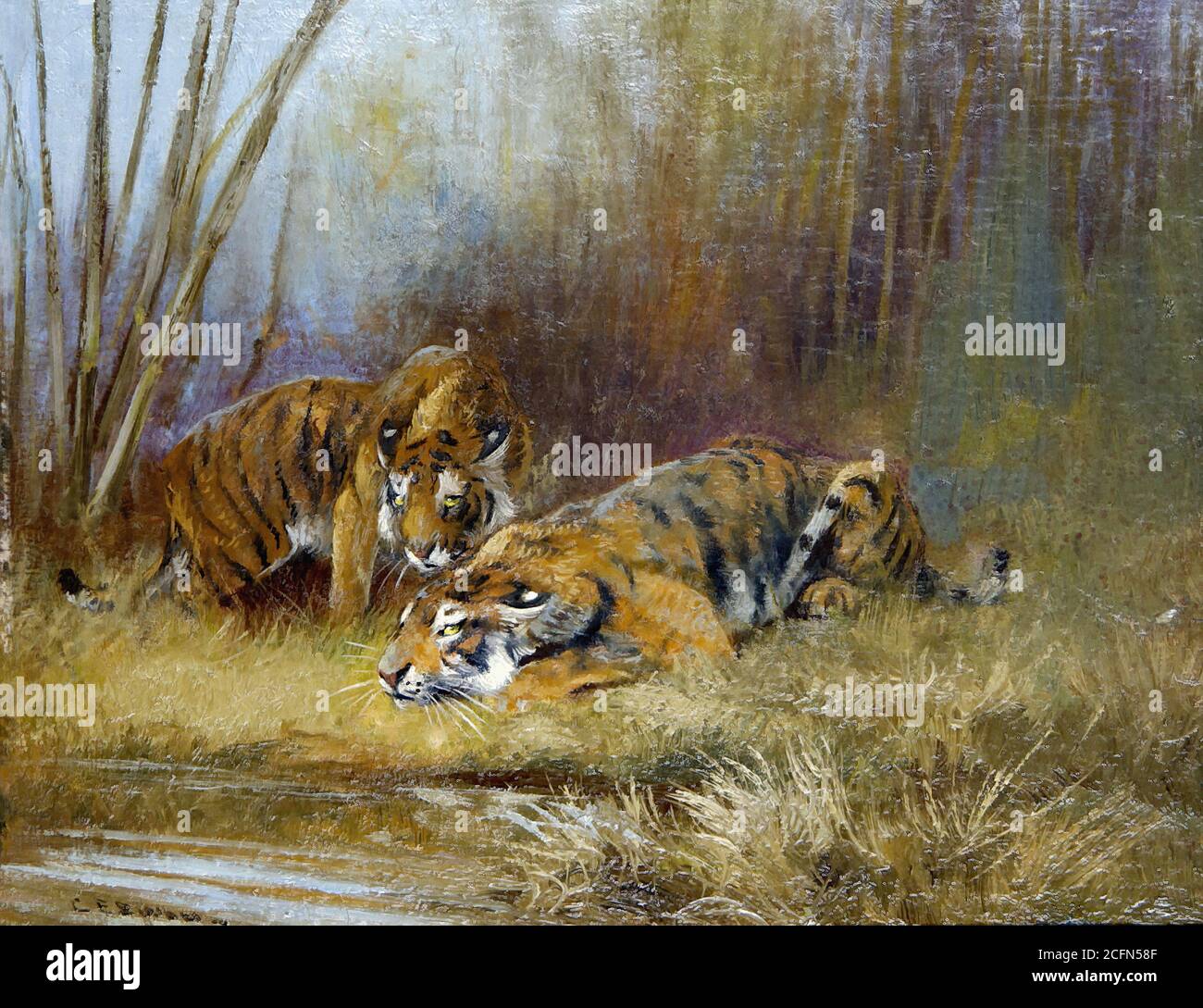Swan Cuthbert Edmund - Tigers by a Watering Hole - British School ...
