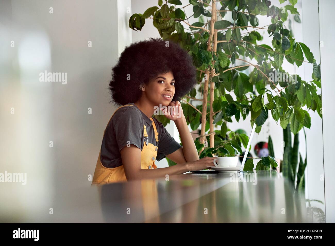 Greenplant hi-res stock photography and images - Alamy