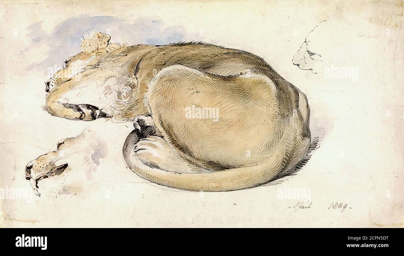 William the lion hi-res stock photography and images - Alamy