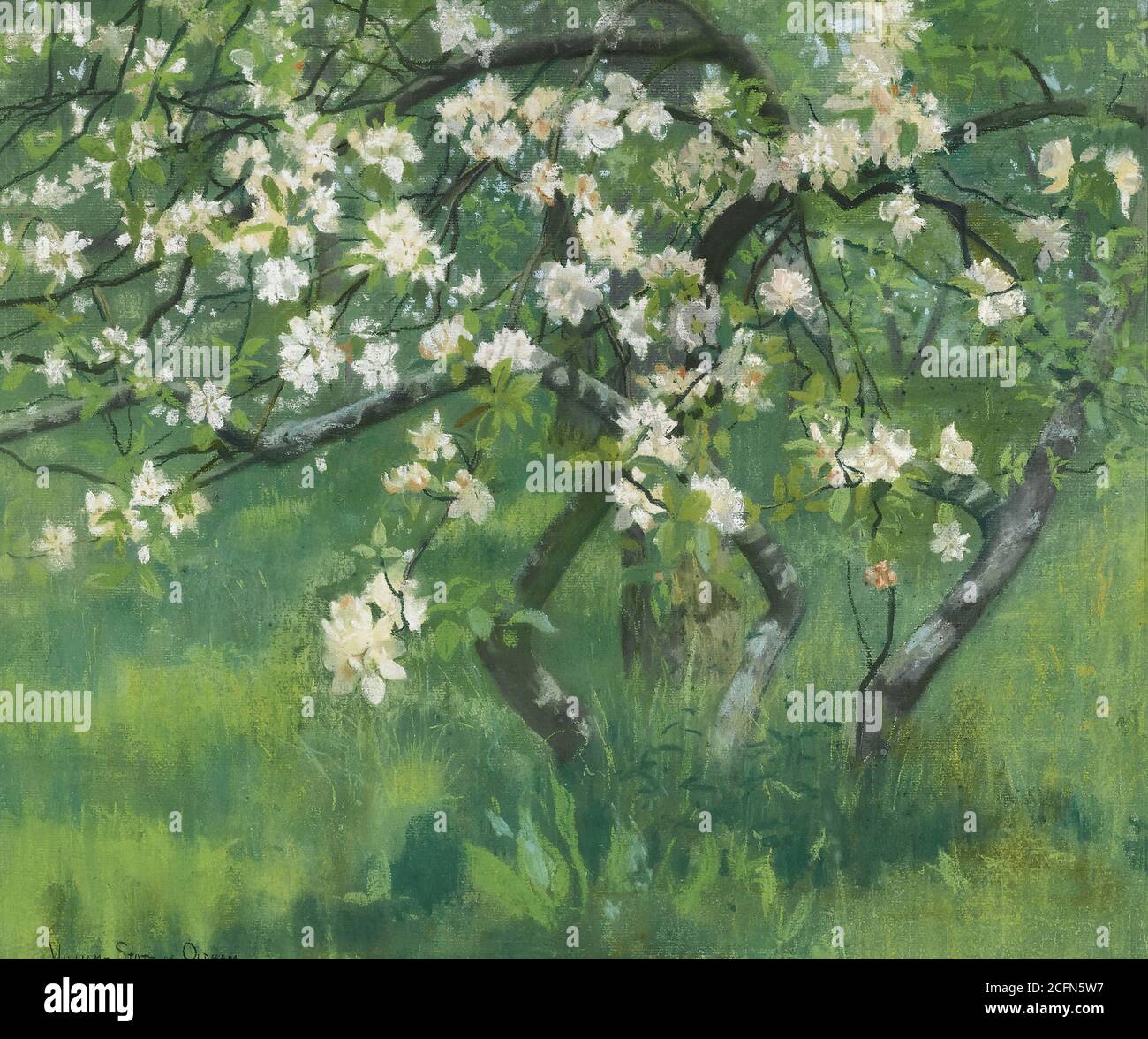 Stott of Oldham William - Apple Tree in Blossom - British School - 19th ...