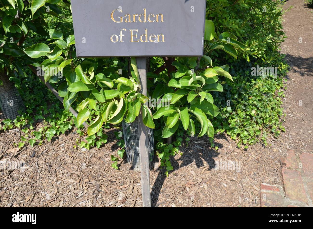 garden of eden sign with plants with green leaves and mulch Stock Photo ...