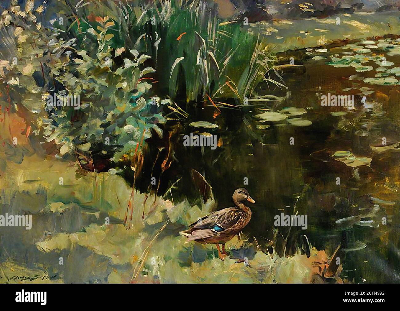 Simpson Charles Walter - Mallard Drake - British School - 19th Century ...