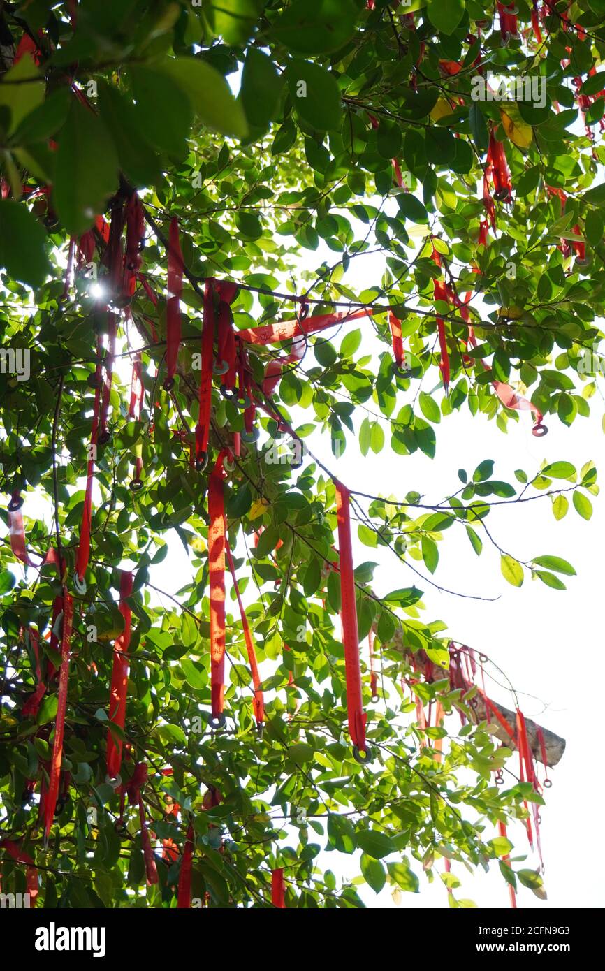 In Chinese culture, colour red symbolizes good luck and joy. It is ...