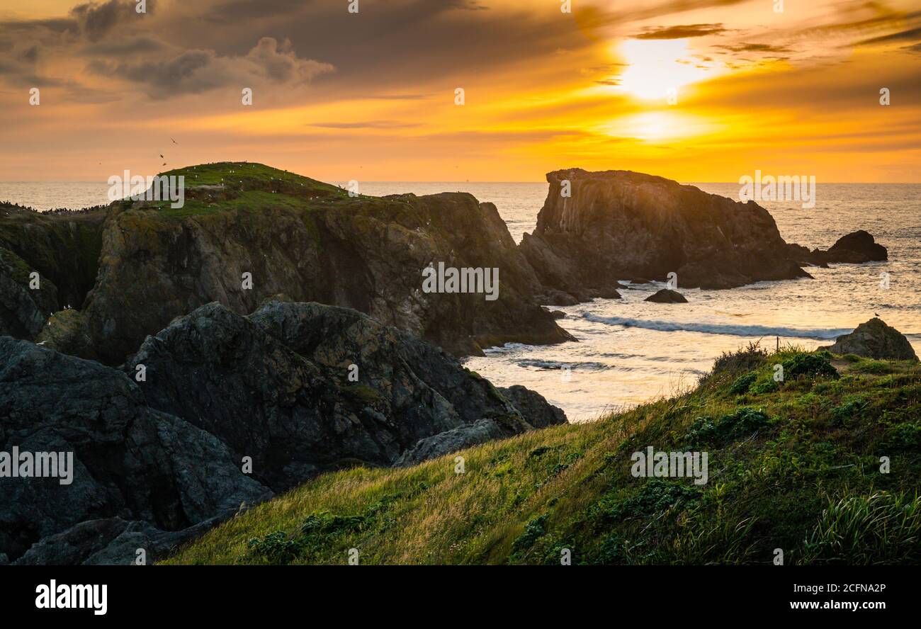 Beautiful coastal sunset scene in Oregon Stock Photo - Alamy