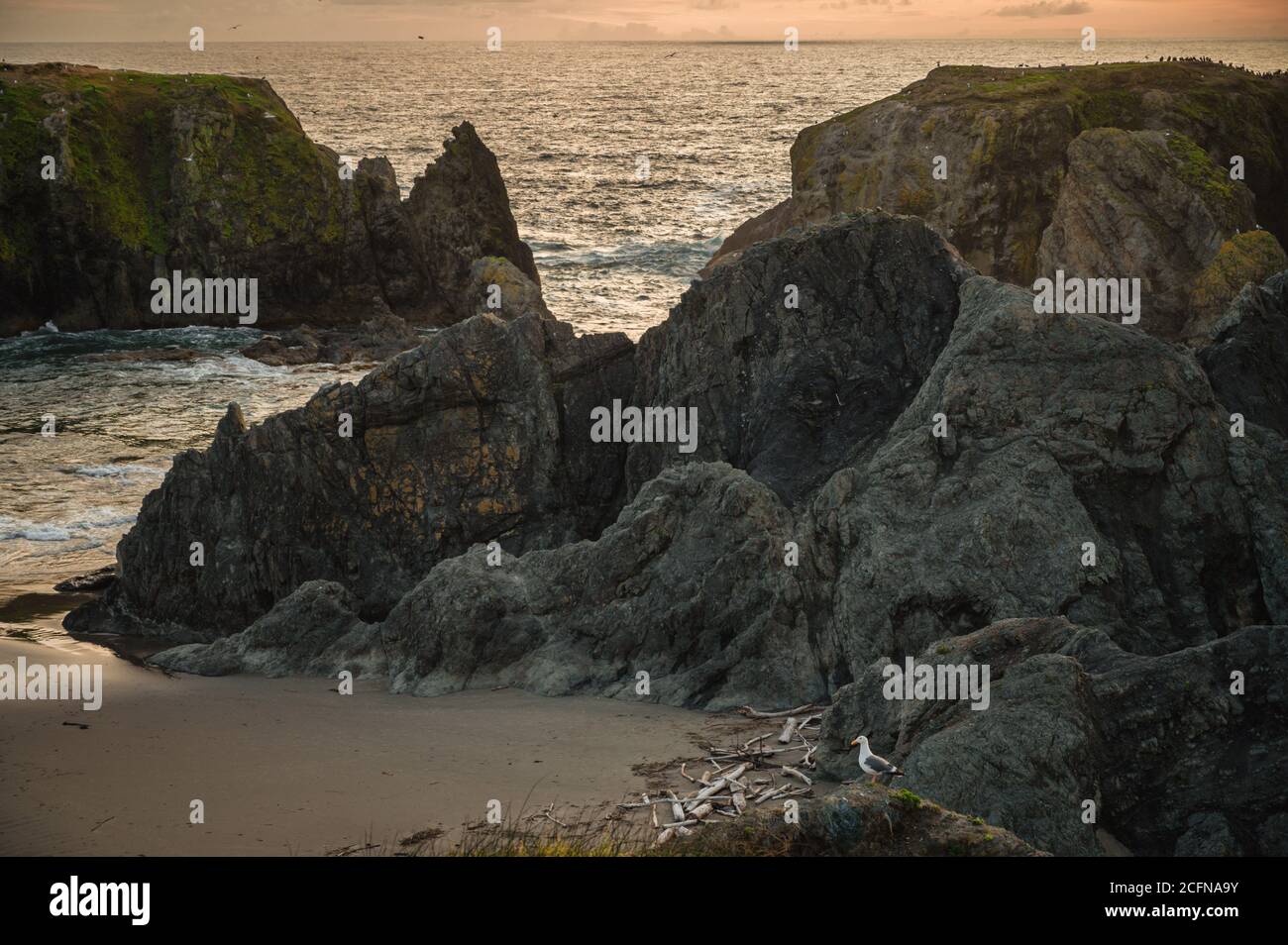 Beautiful coastal sunset scene in Oregon Stock Photo - Alamy