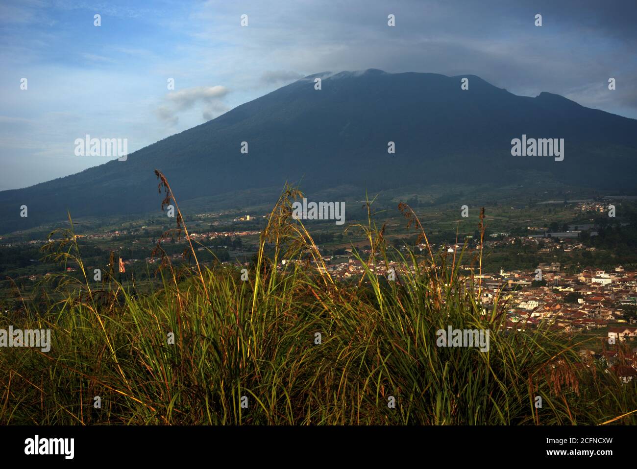 Mount gede pangrango national park hi-res stock photography and images - Alamy