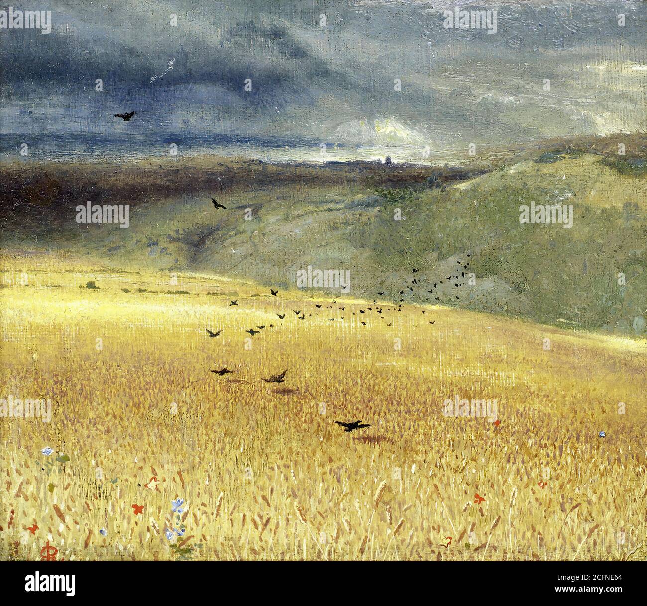 Raven John Samuel - Cornfield - British School - 19th Century Stock ...