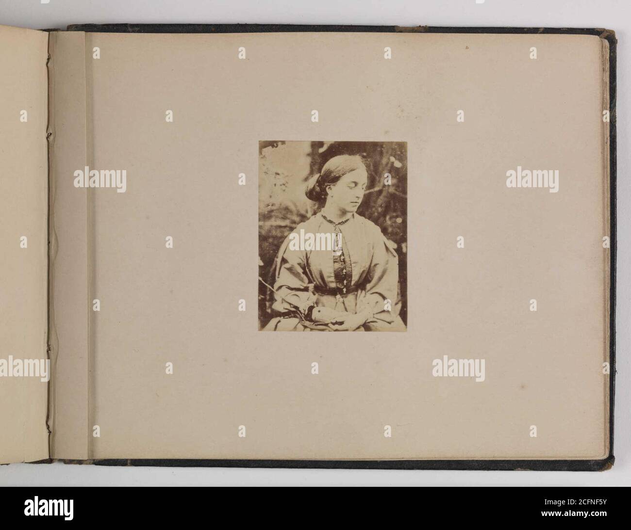 Lady talbot hi-res stock photography and images - Alamy